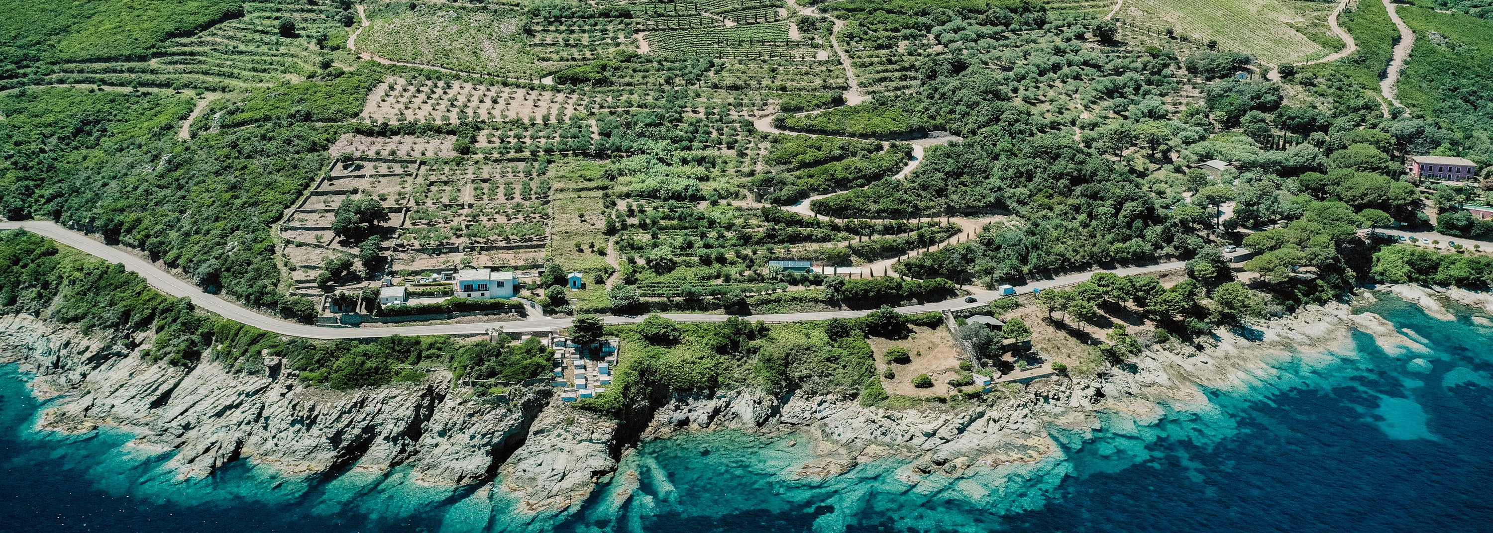 Le domaine Terra di Catoni – Terra di Catoni - épicerie corse