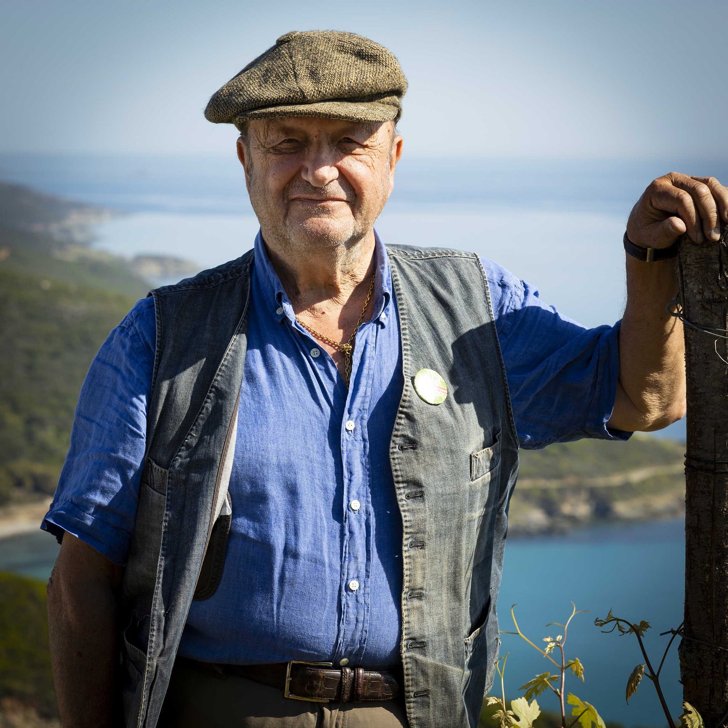 Le domaine Terra di Catoni – Terra di Catoni - épicerie corse