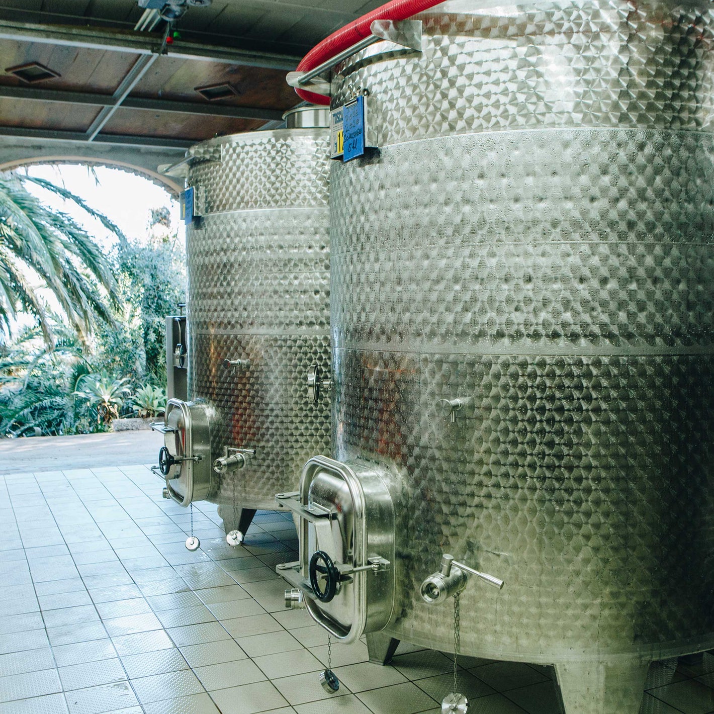 Le domaine Terra di Catoni – Terra di Catoni - épicerie corse